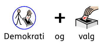 Demokrati og valg – Jeg vil stemme! (ENKEL)